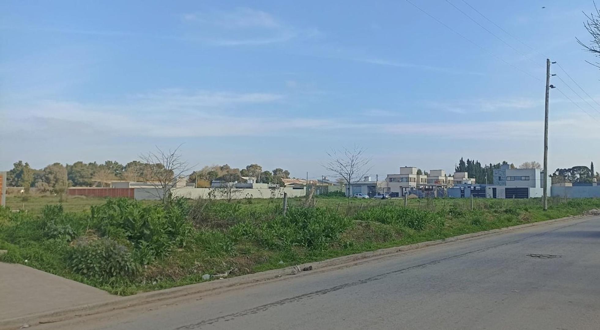 Venta Terreno, 500m2, 47 Entre 200 Y 201, Lisandro Olmos Etcheverry ...