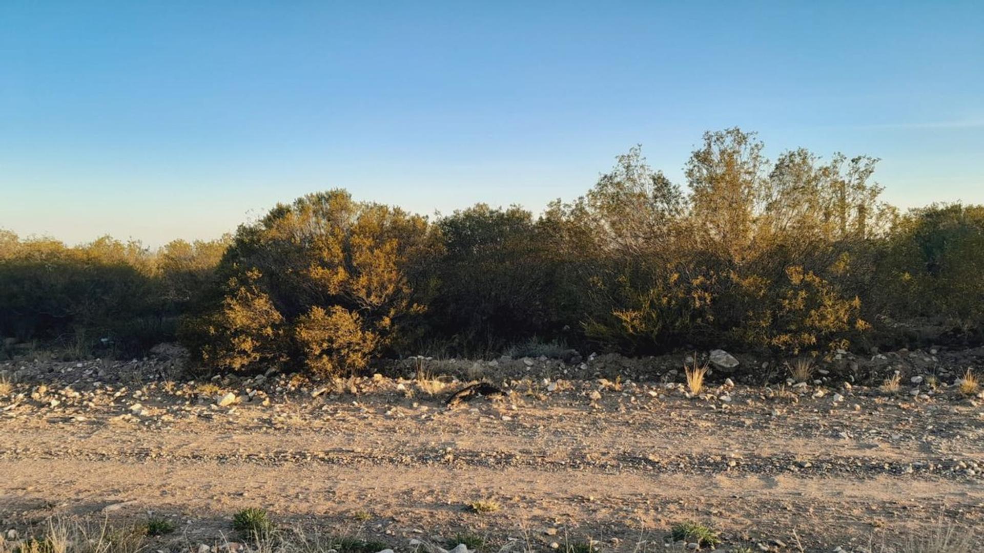 Terreno Venta, 1007m2, La Union, Distrito Compuerta, Lujan De Cuyo ...