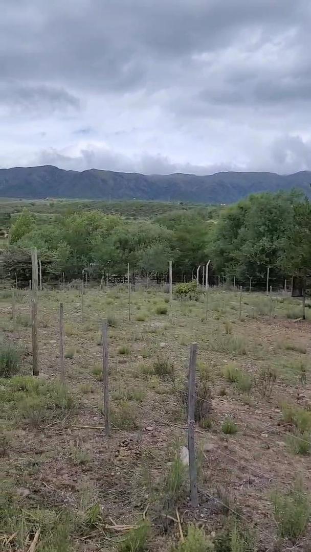 Venta Terreno, 12mts frente, 31mts fondo, Villa Giardino, Punilla ...