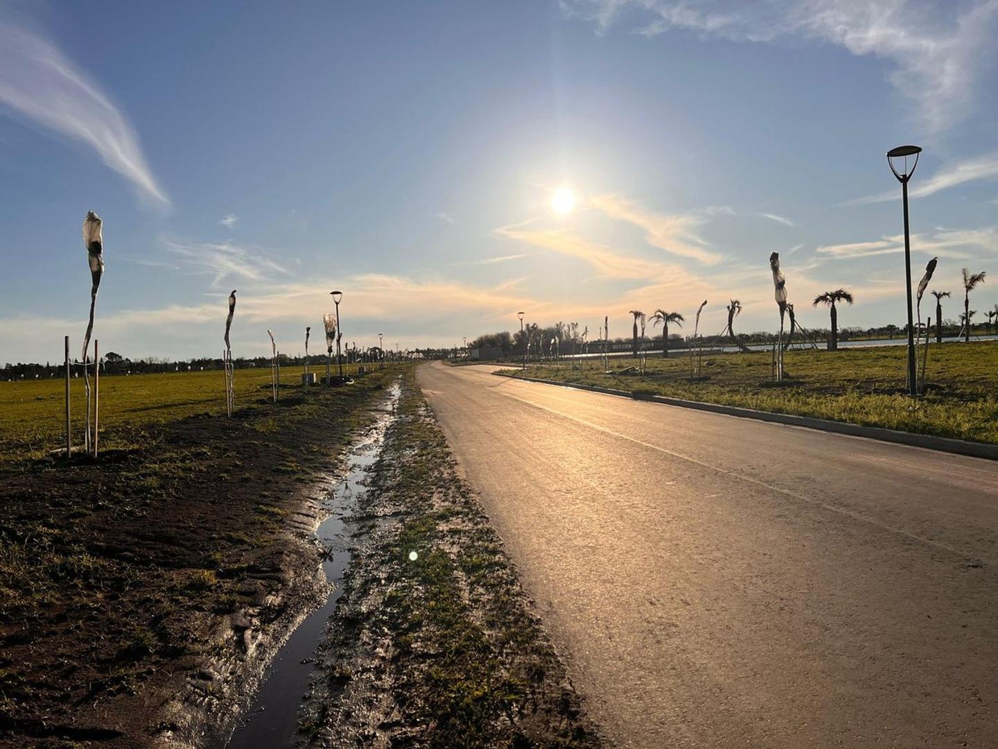 Venta Terreno, 891m2, Pedro A. Ríos 400, Funes | Argenprop