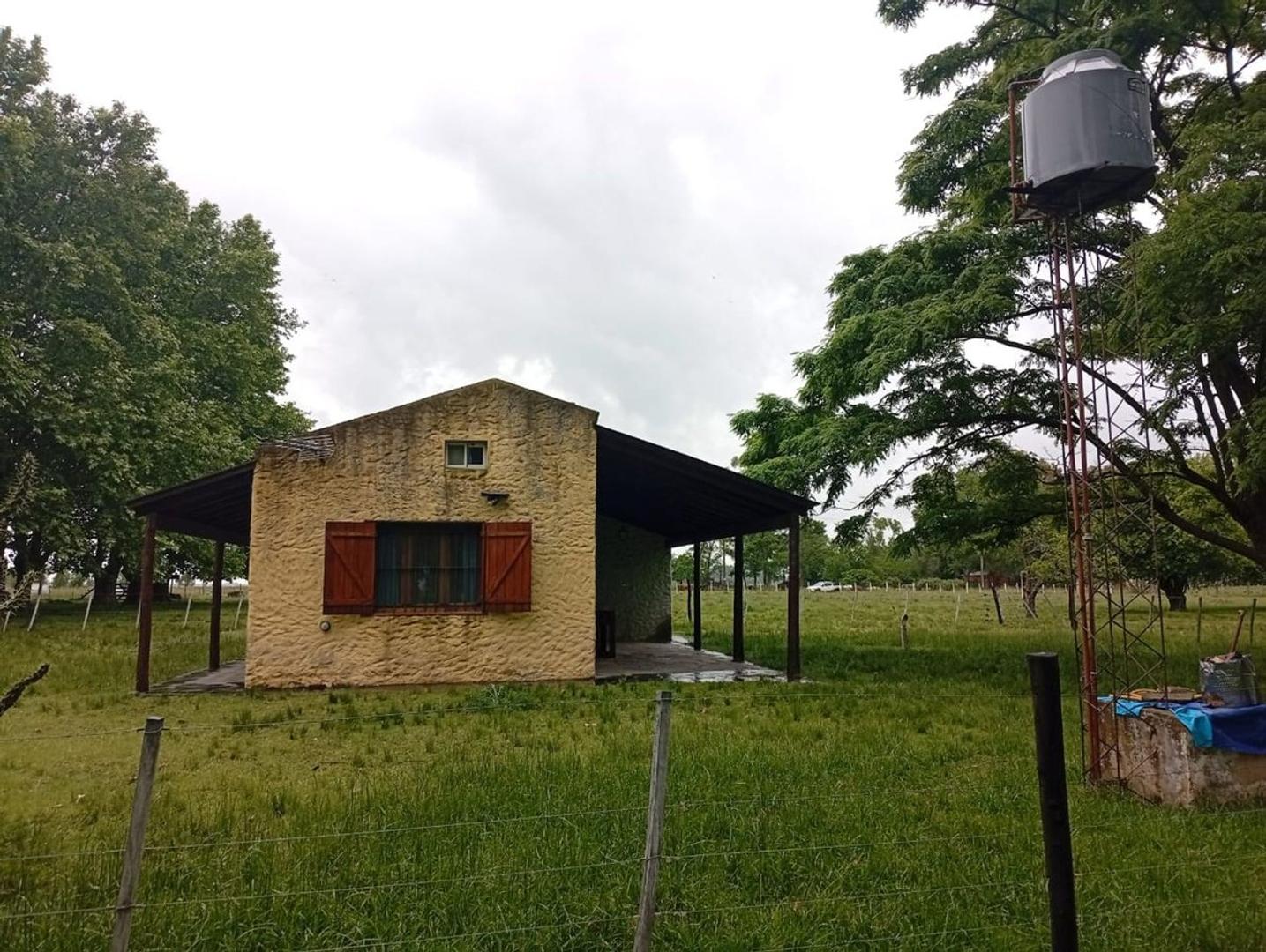 Venta Quinta, Ruta Provincial 61 0, Las Flores | Argenprop