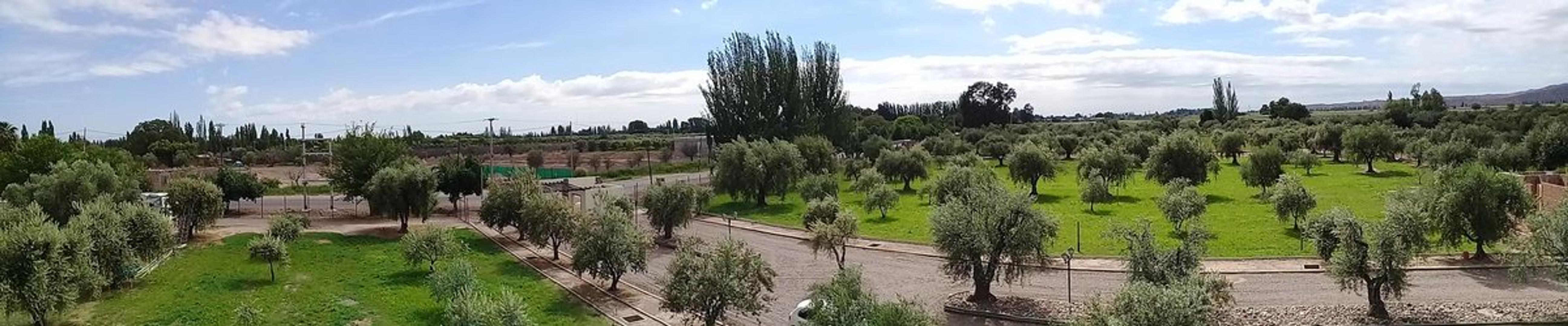 Venta Terreno, 500m2, Azcuénaga 2600, Lunlunta, Maipu | Argenprop