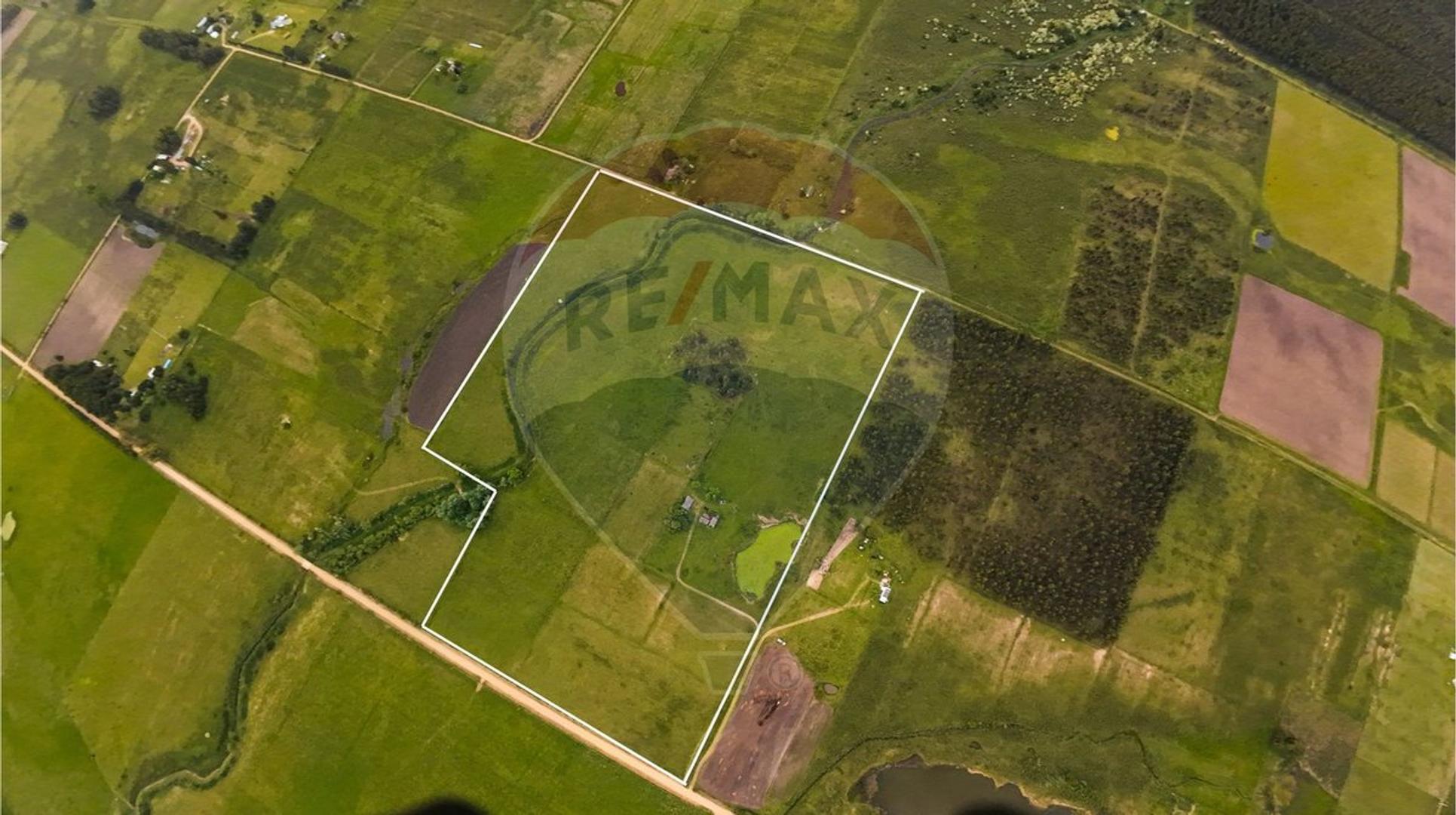 Campo Venta, Camino Sosa Díaz, Atlantida | Argenprop