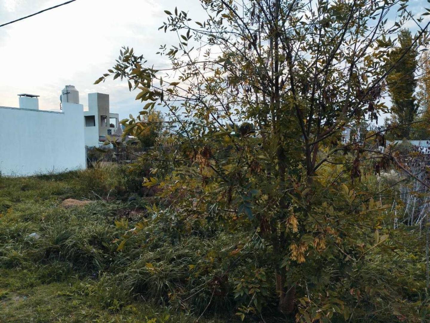 Venta Terreno, 8,66mts frente, 43mts fondo, Calle 653 Entre Calle 12 ...