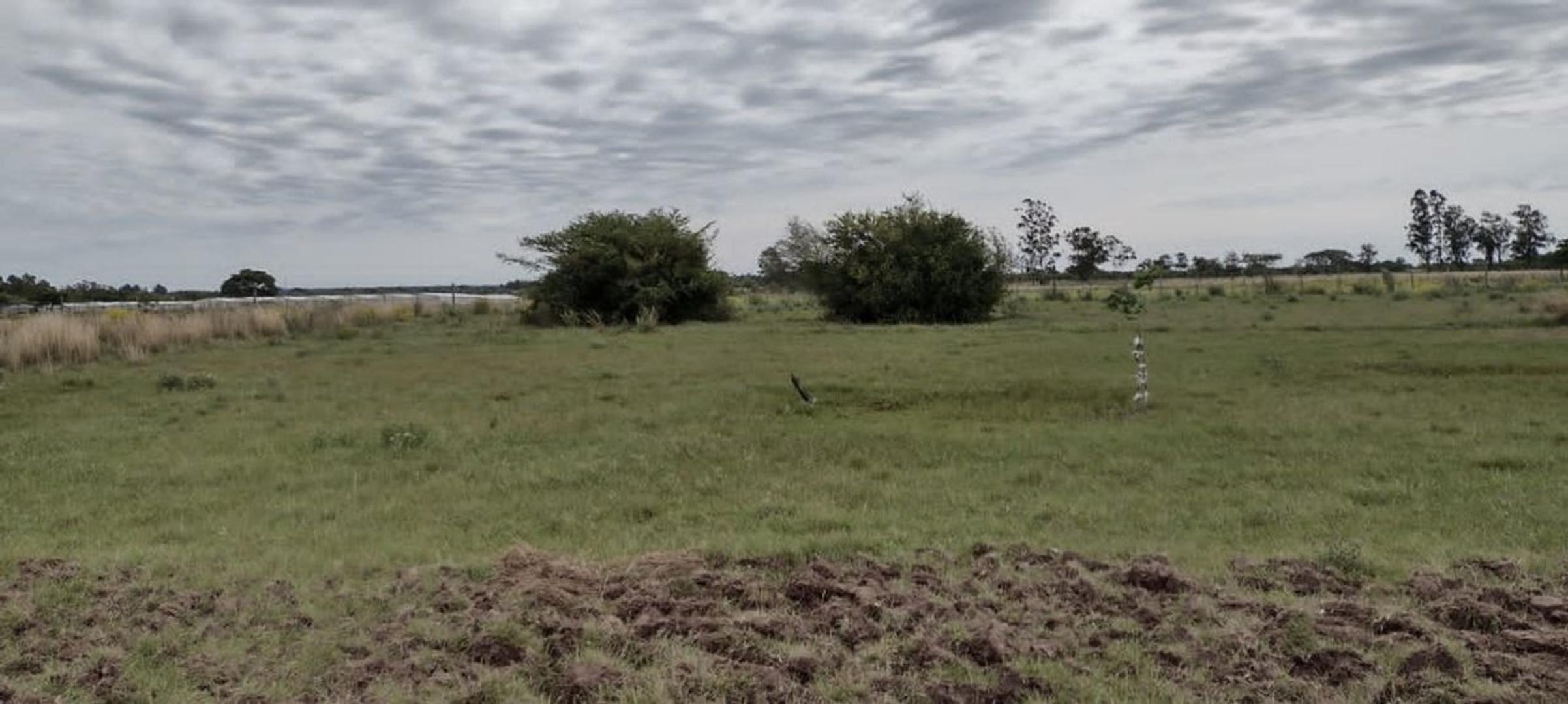 Venta Terreno, 1293m2, S/C, Colonia Carolina, Corrientes | Argenprop