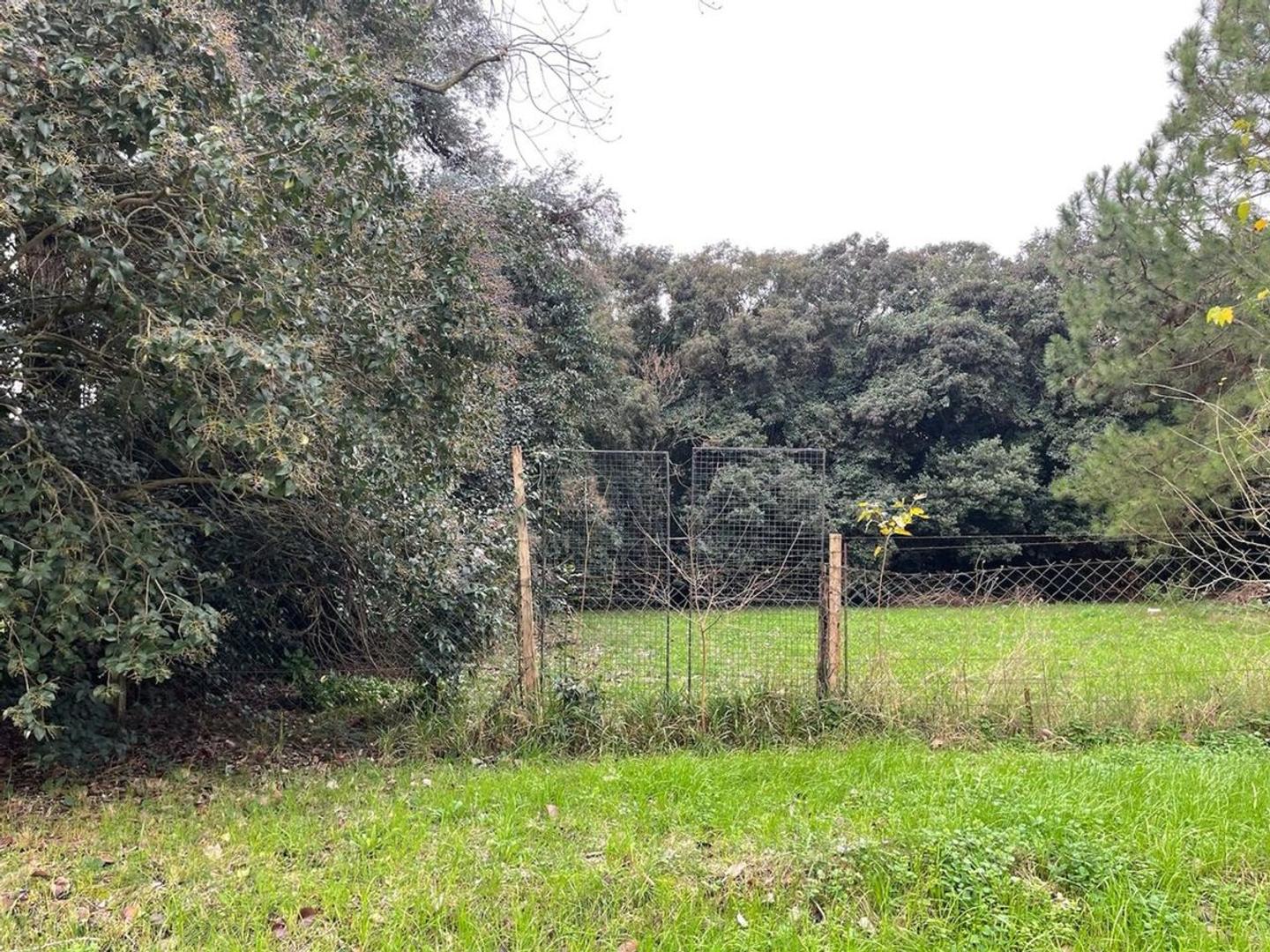 Terreno Venta, 800m2, San Alejandro 1300, Matheu | Argenprop