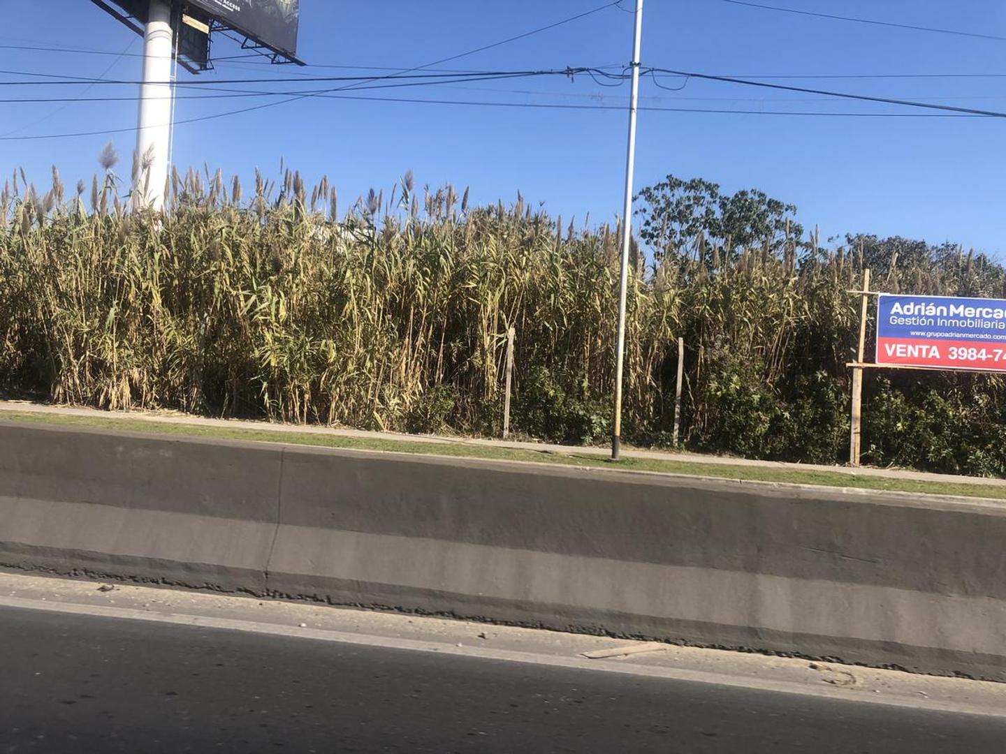 Alquiler Terreno, 50mts frente, 80mts fondo, Cabo Chioffi 6000 Esq ...