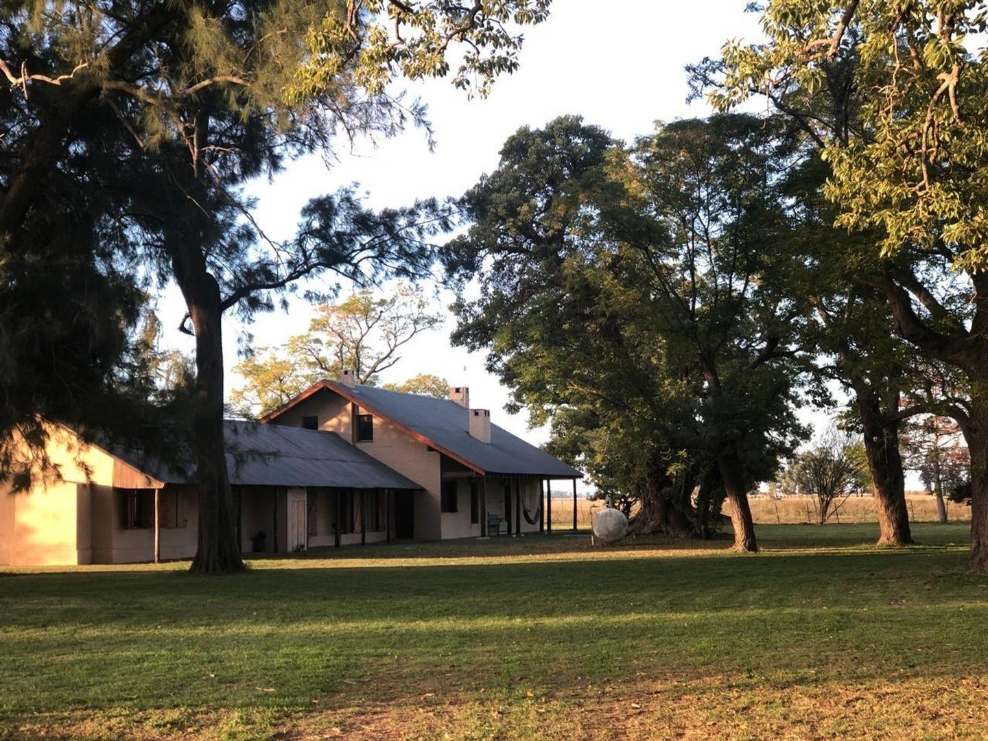 Temporal Campo, Ruta Provincial 41, Navarro | Argenprop