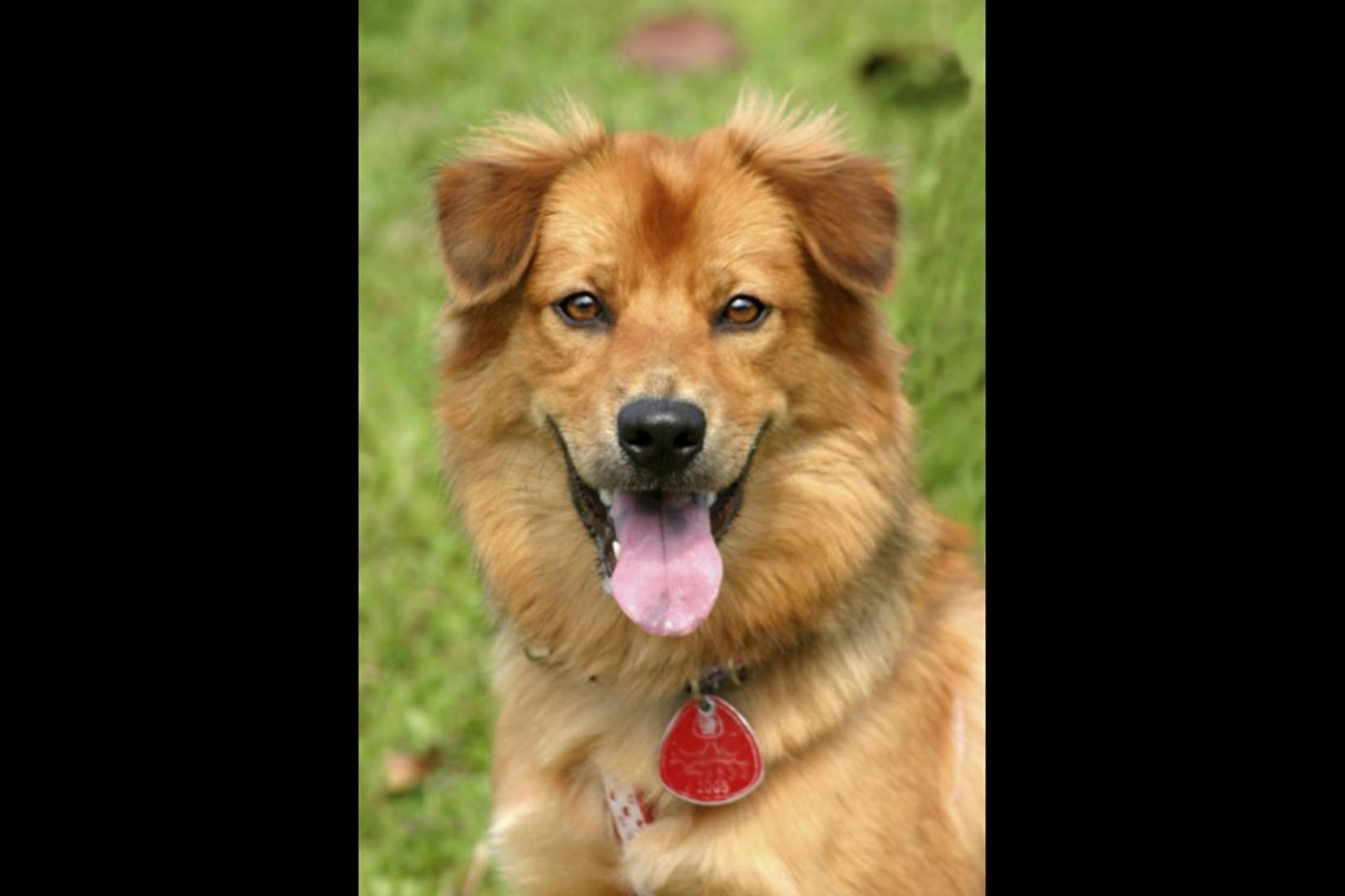 Casa Alquiler 2 ambientes 15 años, 50m2, 2 cocheras, Av. 32 2000, La ...