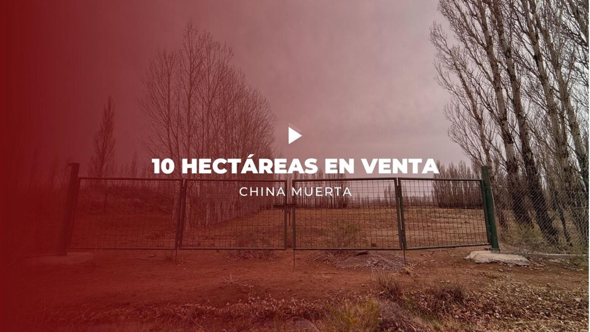Venta Campo, China Muerta, Plottier, Confluencia | Argenprop